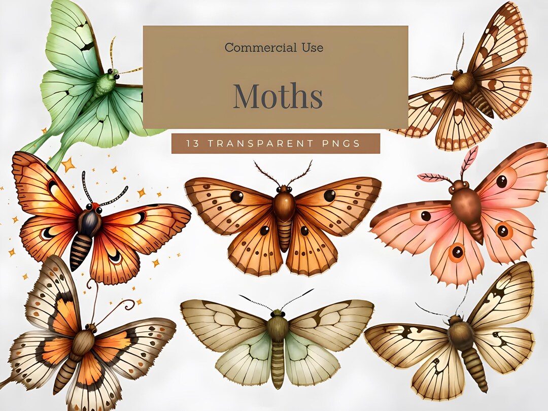 Watercolor Moth Clipart Bundle, Botanical Insect PNG (commercial Use ...