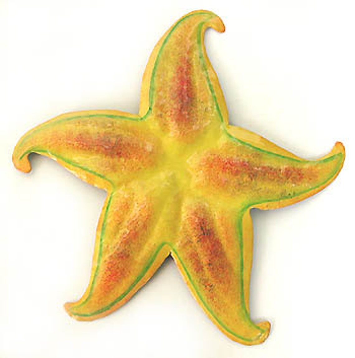 SEA SHELL Choice of 3 Colors Metal Wall Hanging Coastal - Etsy