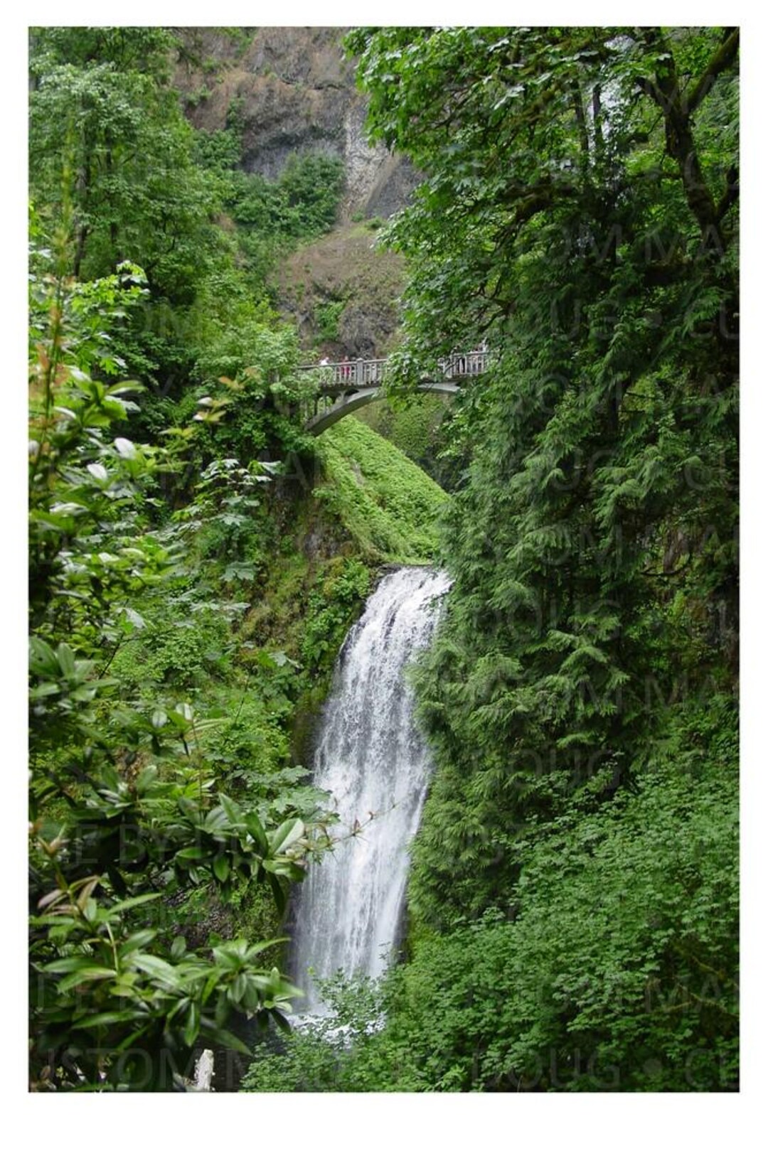 Waterfall Posters 12"x18" (set of 4) - Etsy