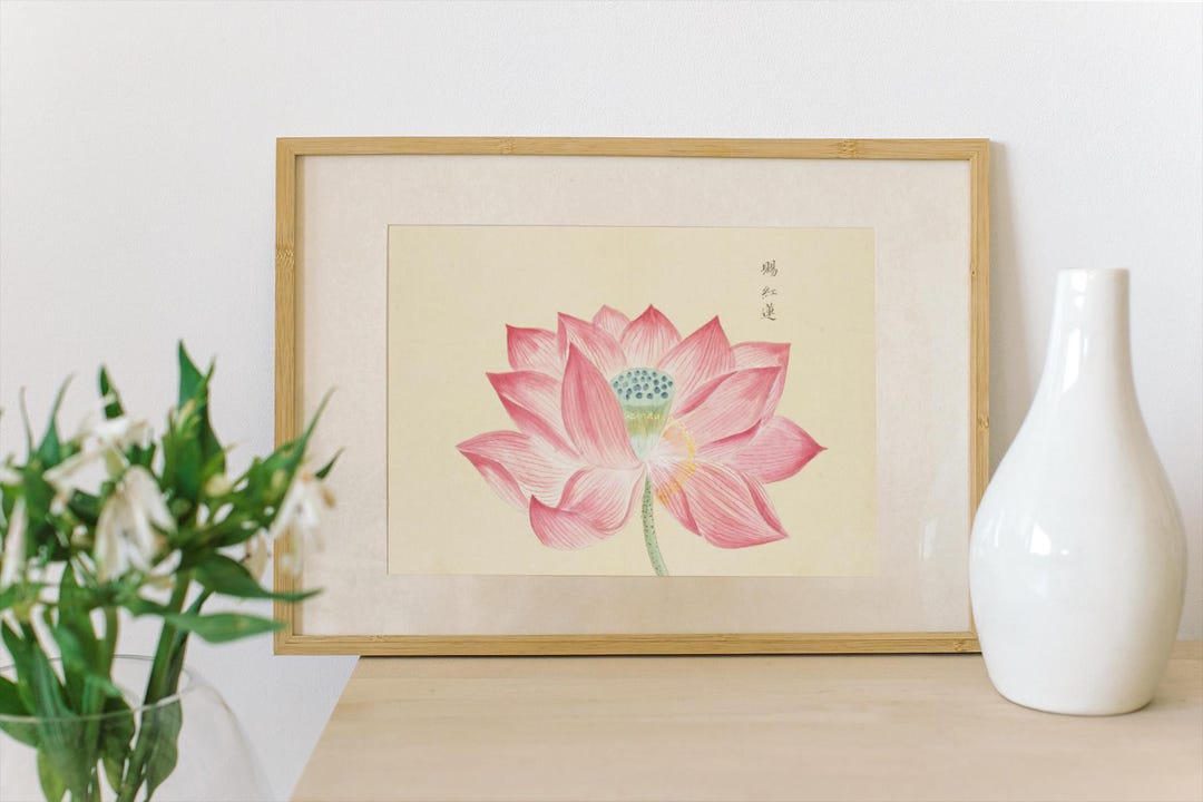 Vintage Japanese Lotus Flower Print: Edo Era Art (digital Download) - Etsy