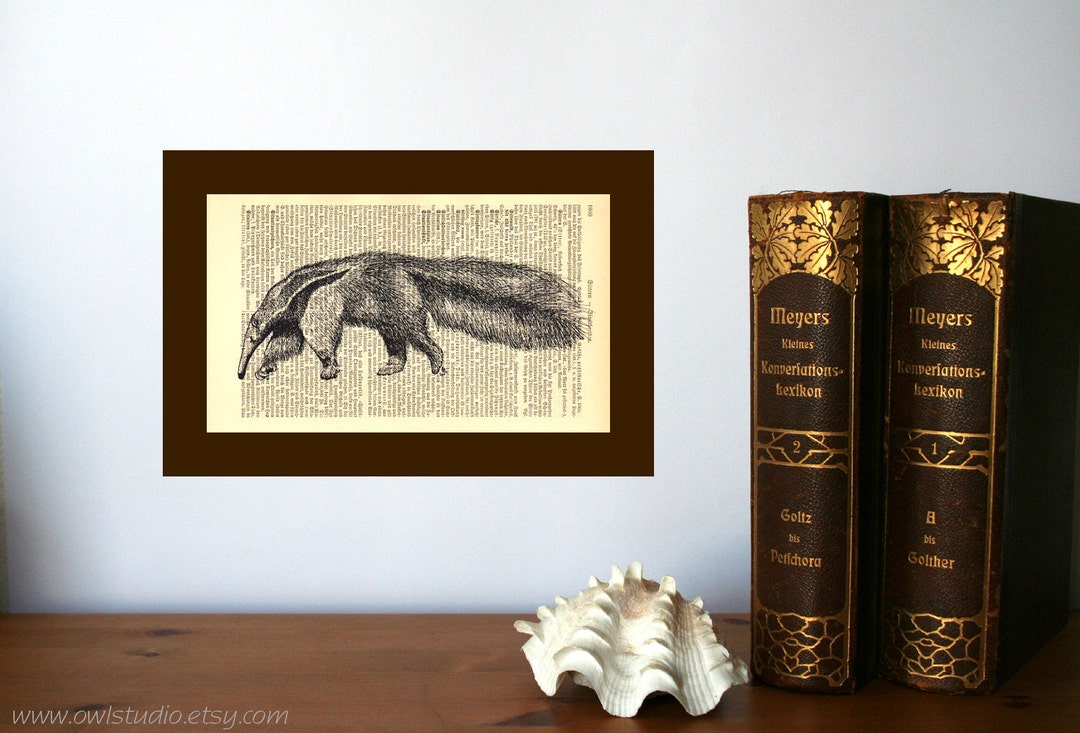 Anteater, Dictionary Print, Literary Gifts, Old Book Pages, Bookish ...