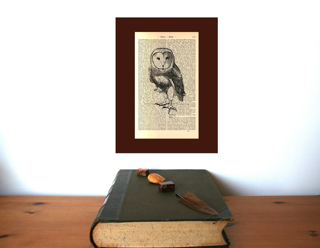 Barn Owl, Book Nook, Bookish Gifts, Librarian Gifts - Etsy