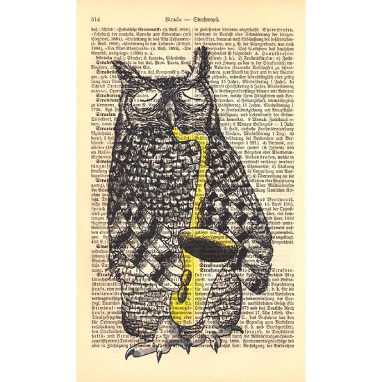 Saxophone Owl Music Art Print Bookish Gifts and Literary - Etsy