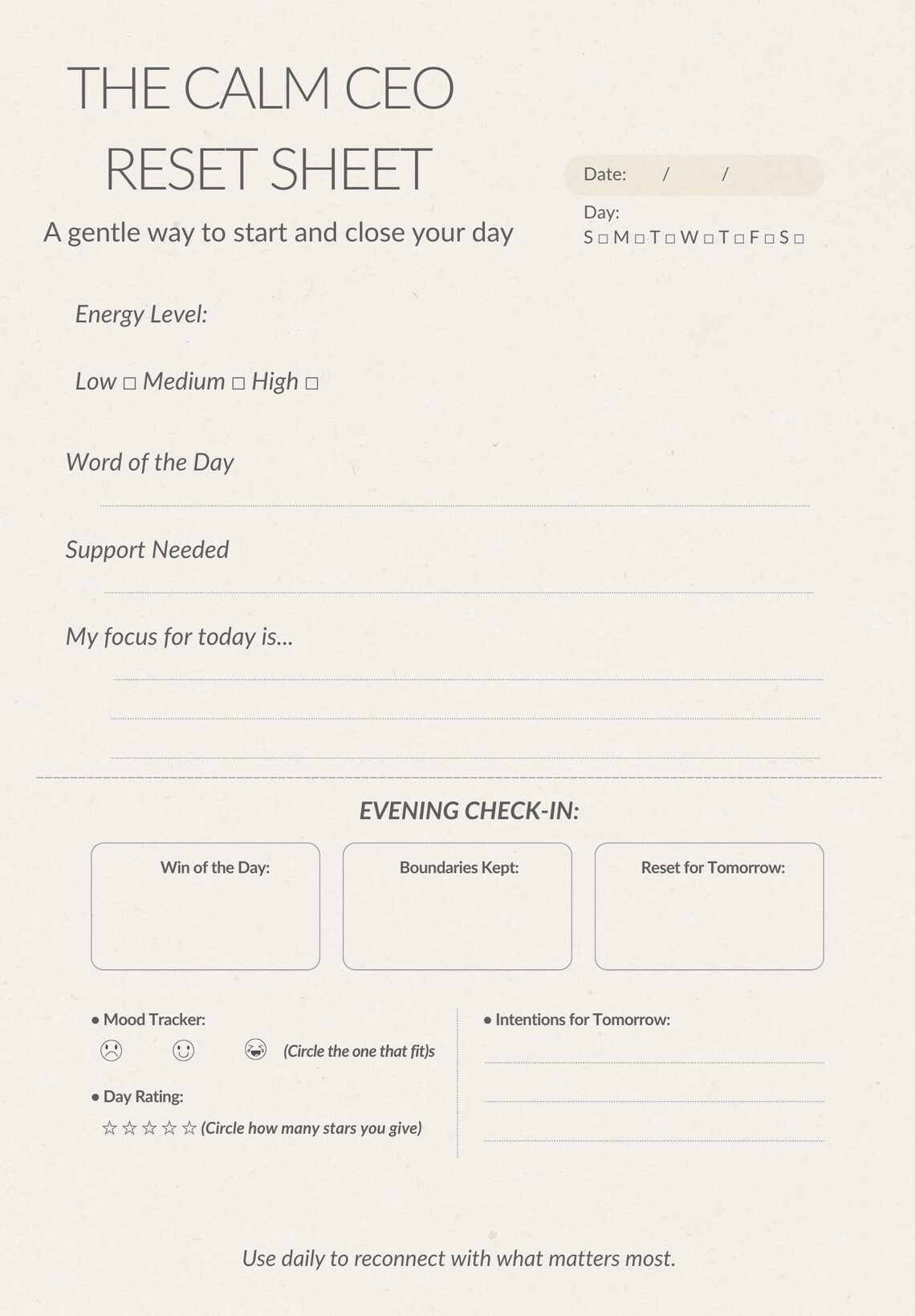 Calm CEO Reset Sheet: Daily Reflection Planner (digital Download) - Etsy