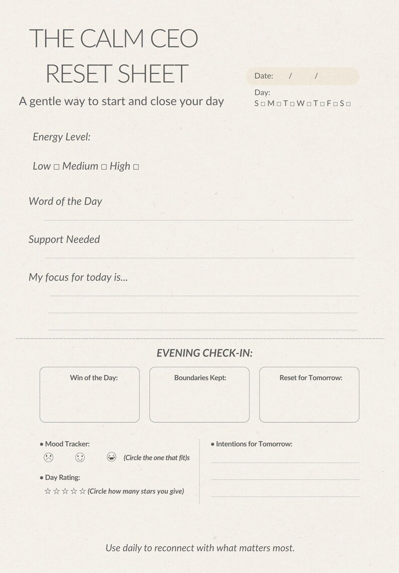 Calm CEO Reset Sheet: Daily Reflection Planner (digital Download) - Etsy