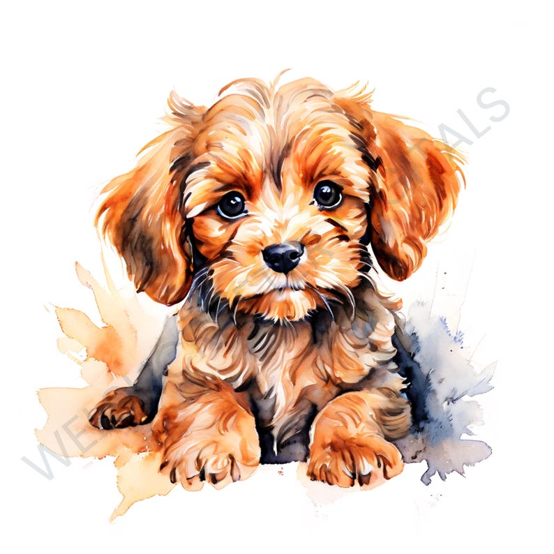 12 Adorable Cavapoo Puppies Clipart - JPG Digital Download for Cards ...