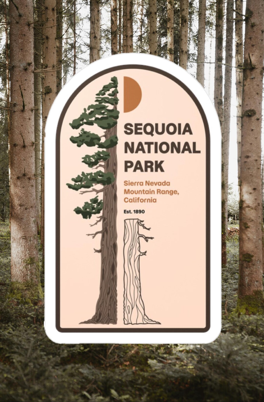 Sequoia National Park Sticker, Waterproof Sticker | SIZES IN ...