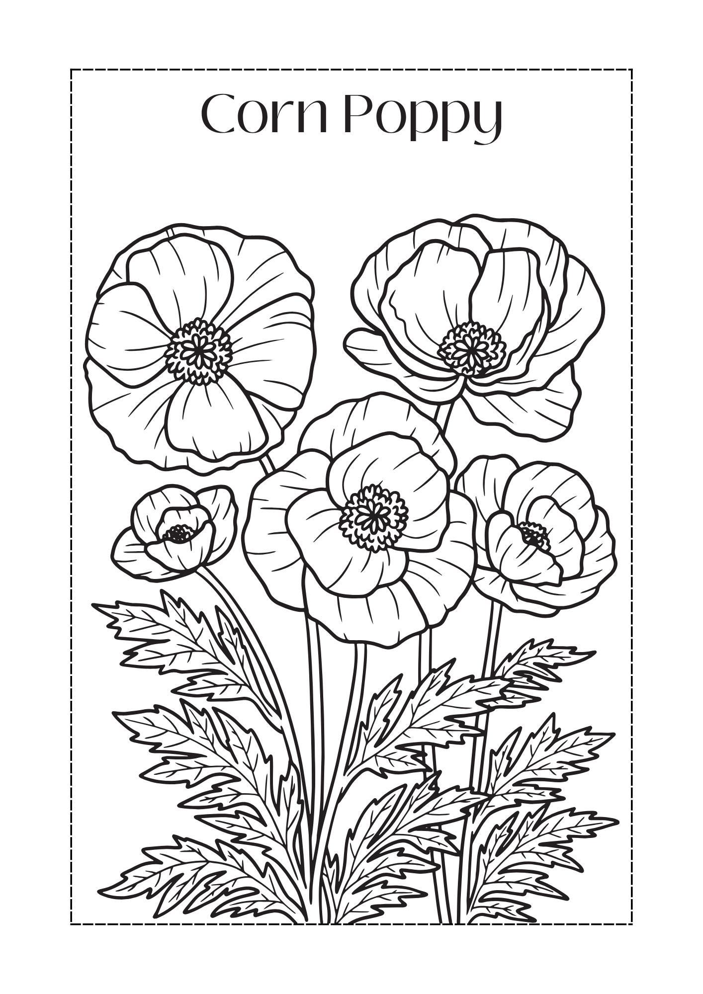 46 Page Flower Coloring Book | Named Flowers With Pictures | Black ...