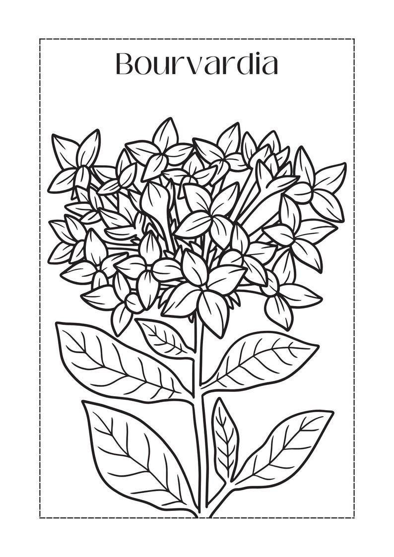 46 Page Flower Coloring Book | Named Flowers With Pictures | Black ...
