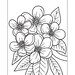 46 Page Flower Coloring Book | Named Flowers With Pictures | Black ...