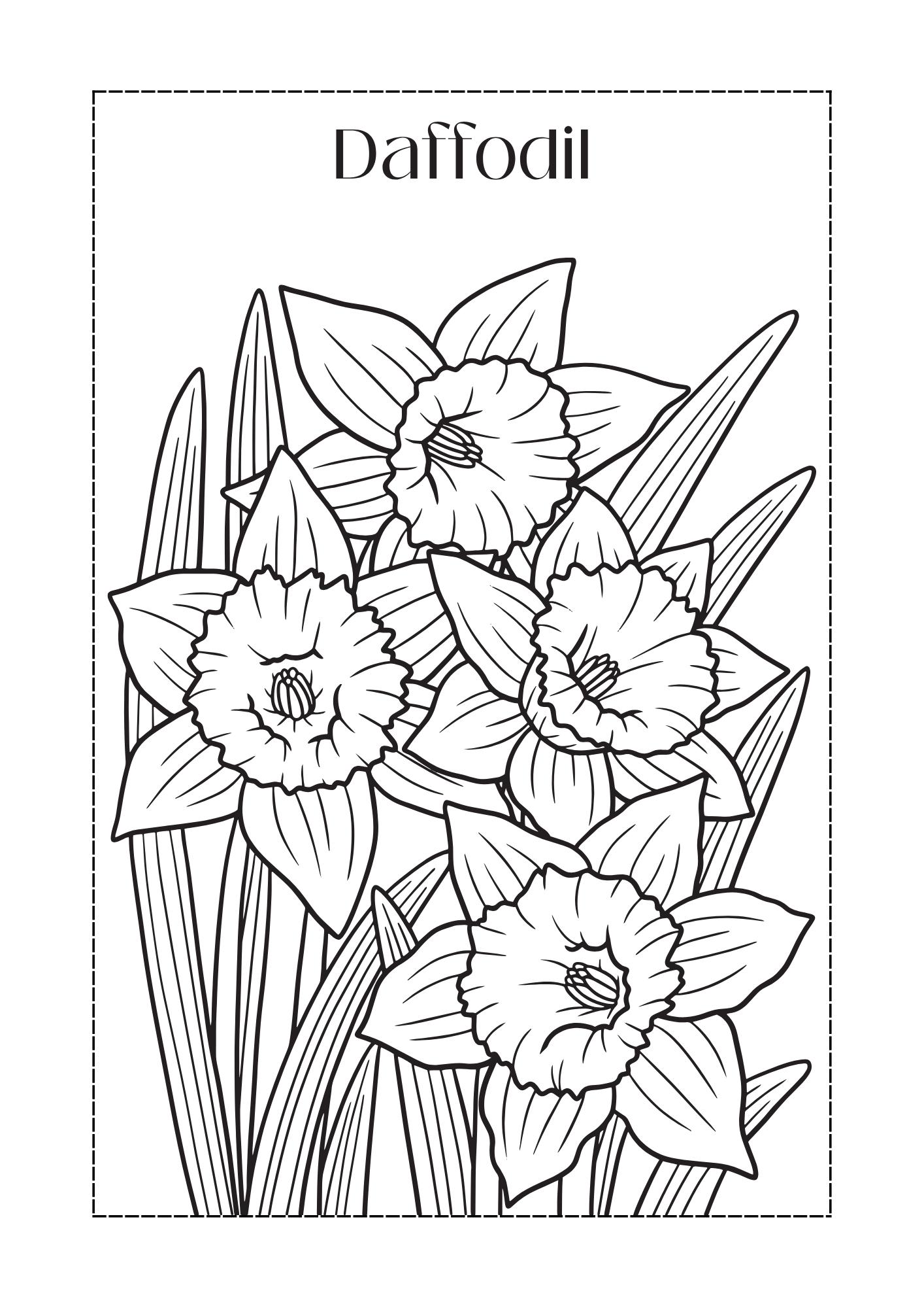 46 Page Flower Coloring Book | Named Flowers With Pictures | Black ...
