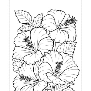 46 Page Flower Coloring Book | Named Flowers With Pictures | Black ...