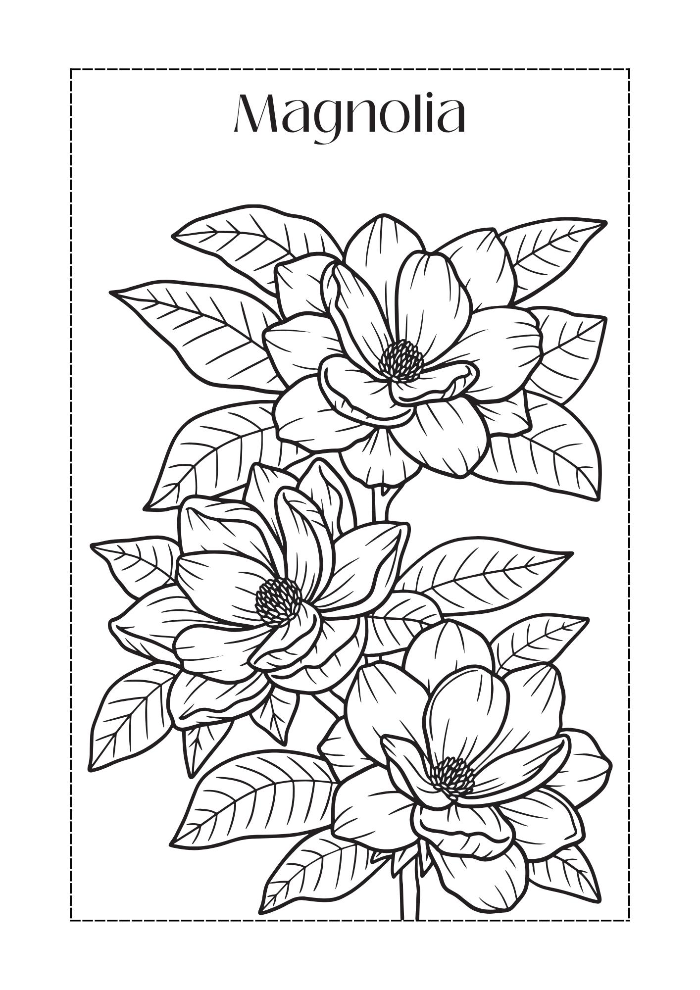 46 Page Flower Coloring Book | Named Flowers With Pictures | Black ...