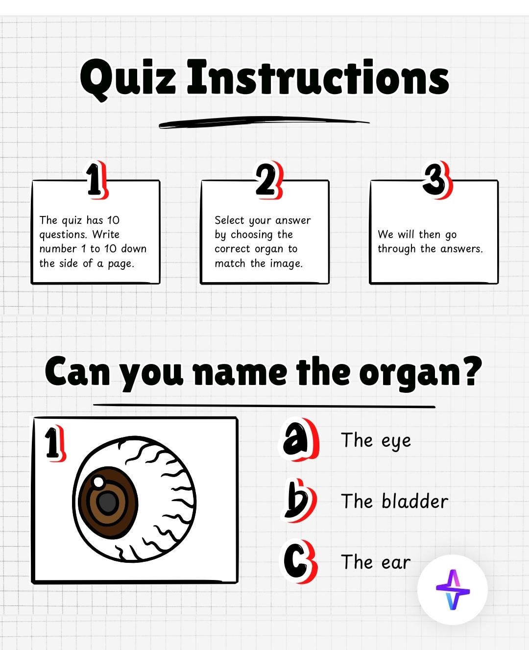 Human Body Organ Quiz Printable, Quiz for Kids, Quiz Book Worksheet, - Etsy
