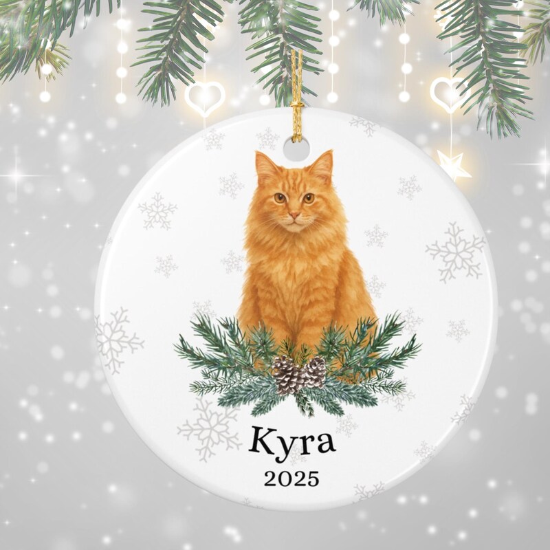 Cute Long Haired Cats - Etsy