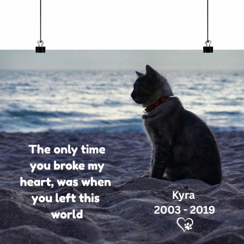 Personalized Cat Memorial Print, Pet Loss Gifts, Custom Pet Tribute ...
