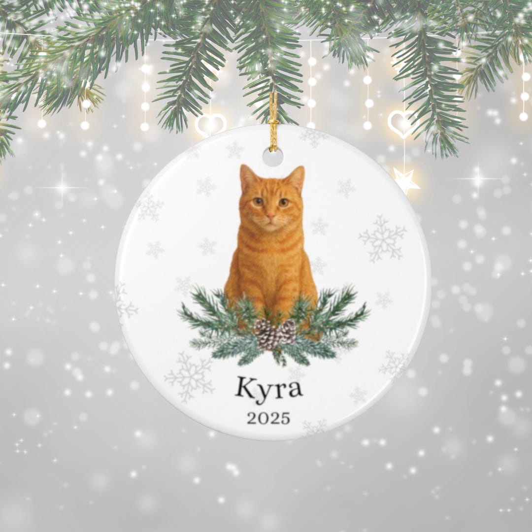 Personalized Ginger Tabby Cat Ornament, Ginger Cat Gift,custom Name ...