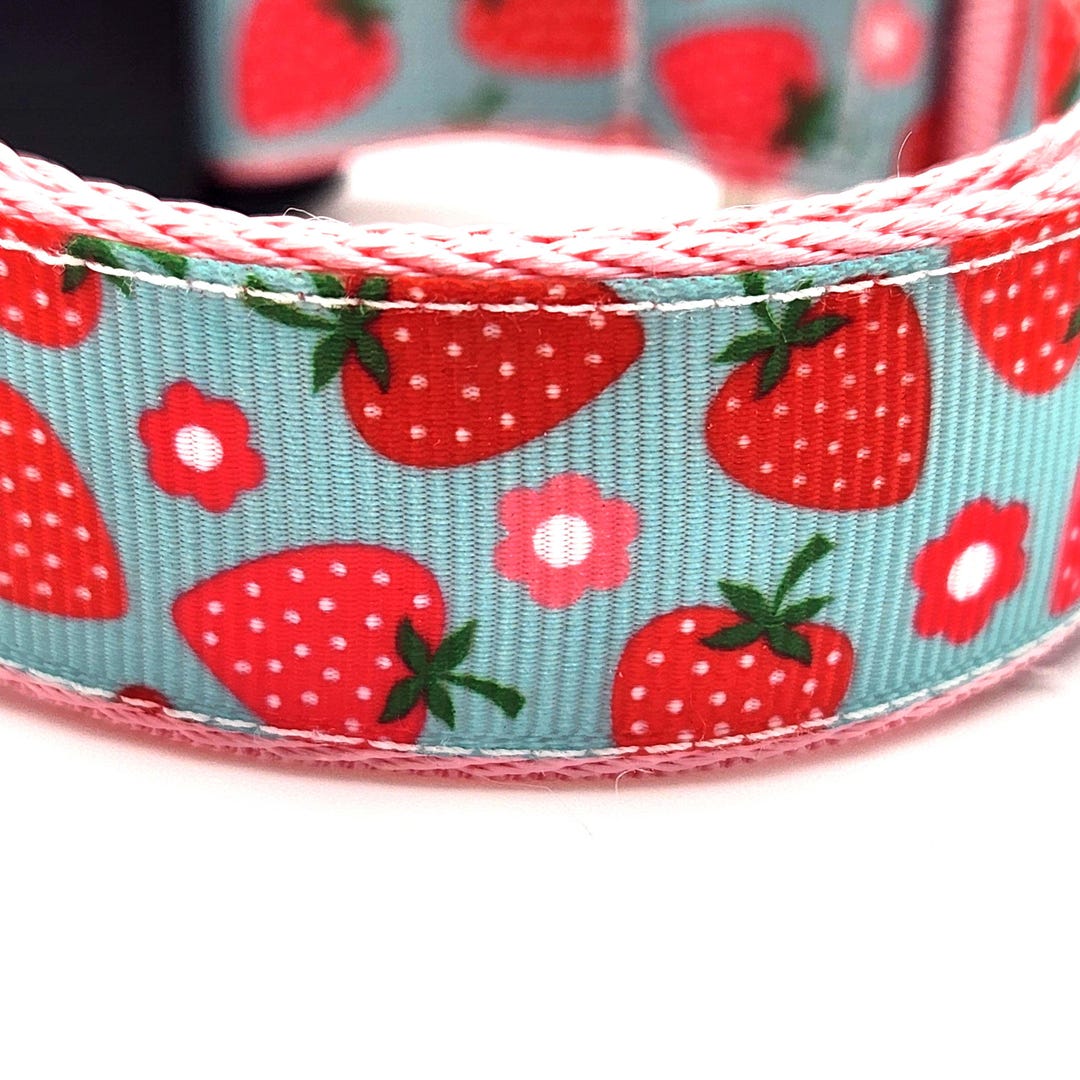 1 Inch Small Berry Sweet Strawberry Dog Collar – (9"–12") - Etsy