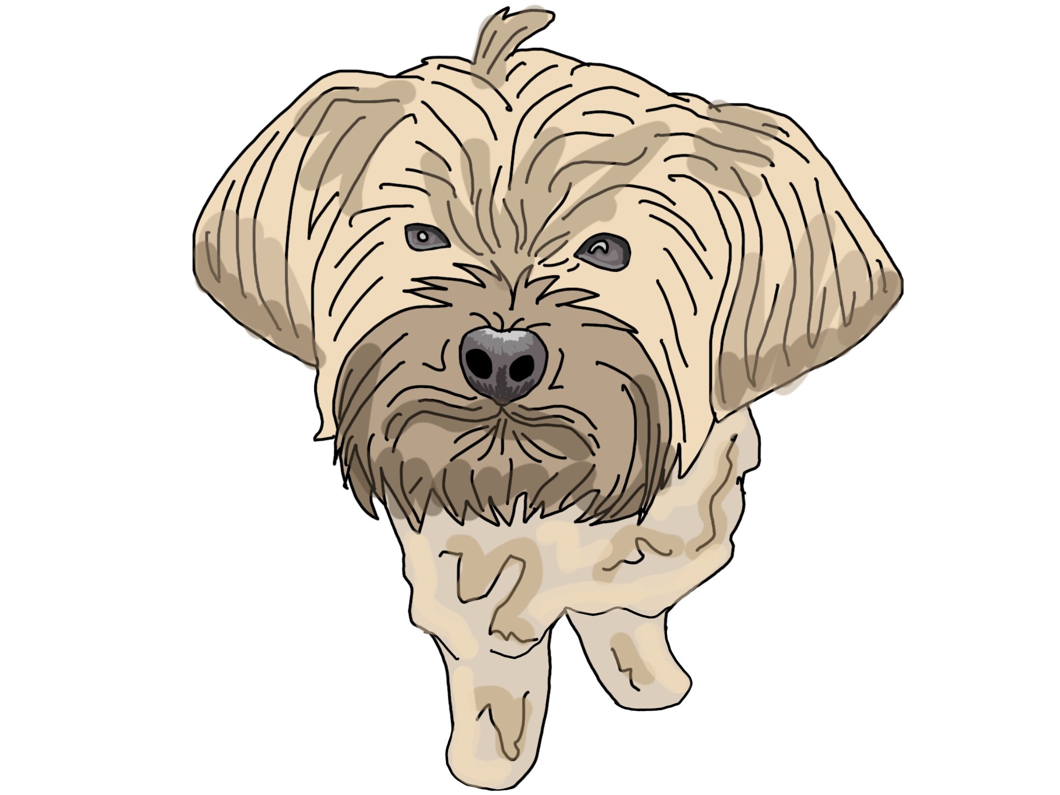 Yorkie Printable, Yorkshire Terrier, Yorkie Art Home Decor ...