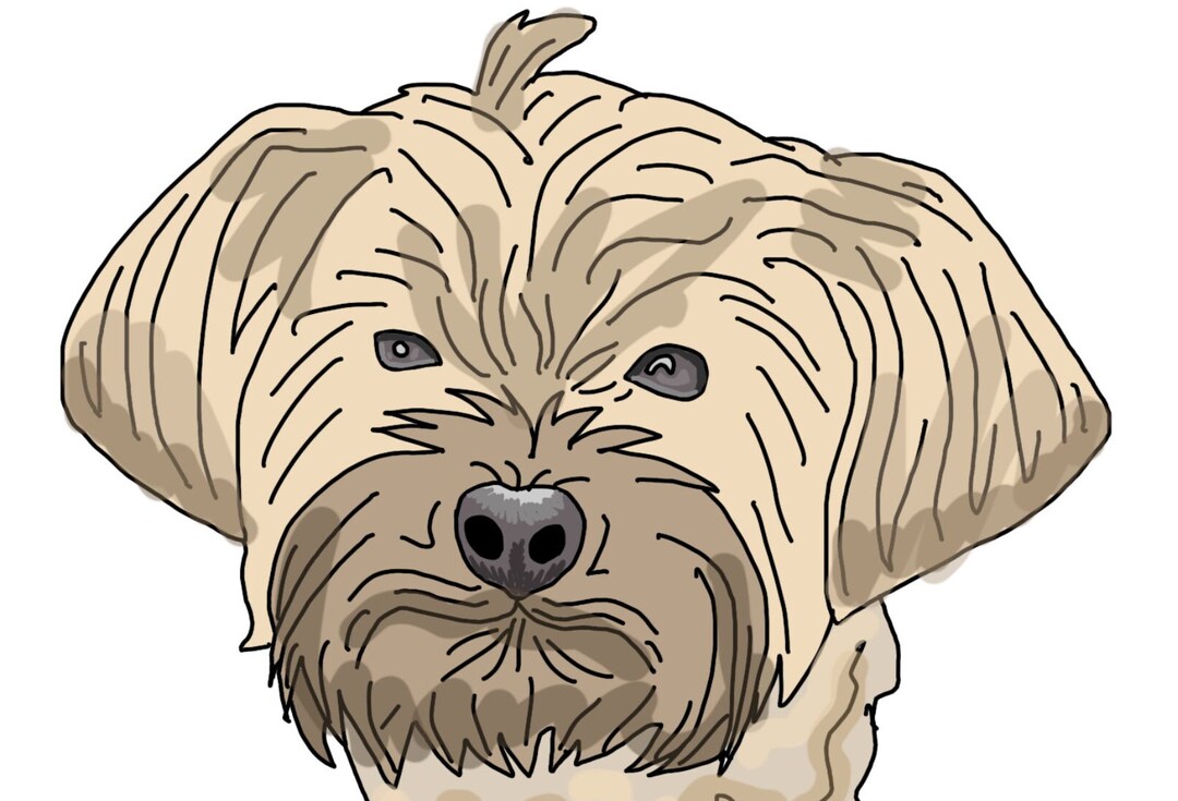 Yorkie Printable, Yorkshire Terrier, Yorkie Art Home Decor ...