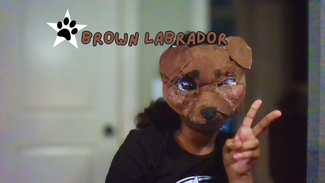 Therian Mask Brown Labrador - Etsy