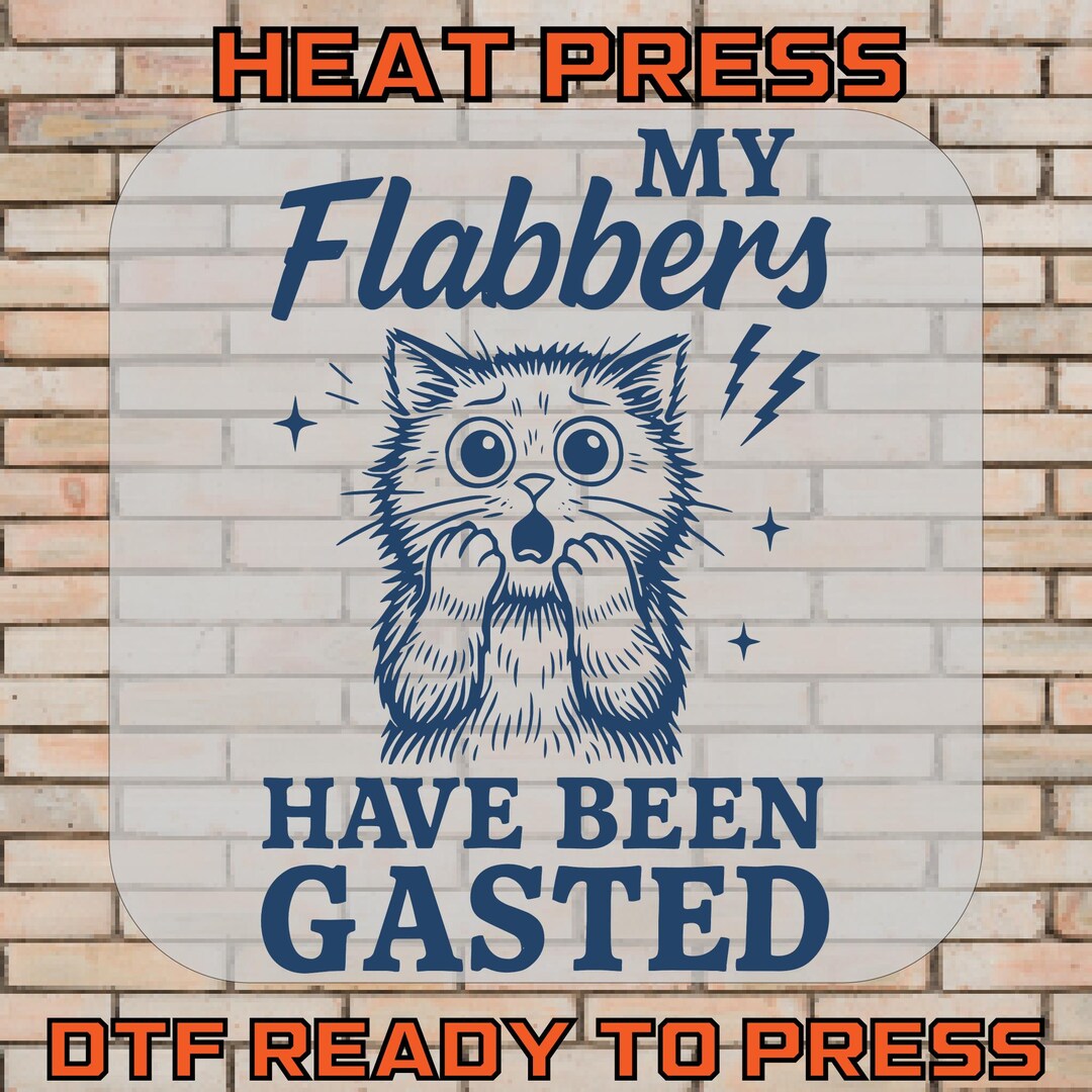 Funny Cat Meme DTF Transfer - 'my Flabbers Have Been Gasted' - Ready to ...