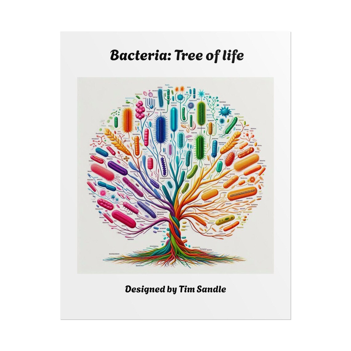 Phylogentic Bacteria Tree Rolled Posters - Etsy