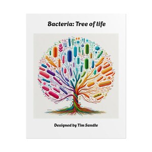 Phylogentic Bacteria Tree Rolled Posters - Etsy