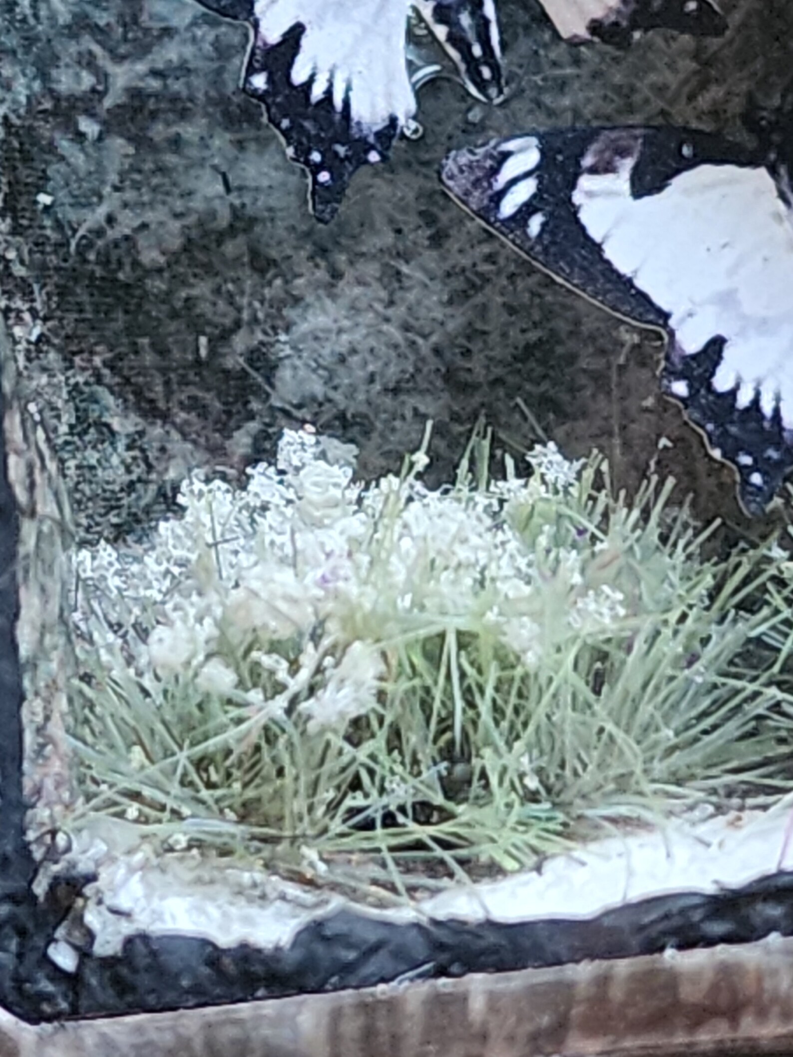 Harmony Moth Necklace/moth Love/artisan Butterfly Necklace/recycled ...