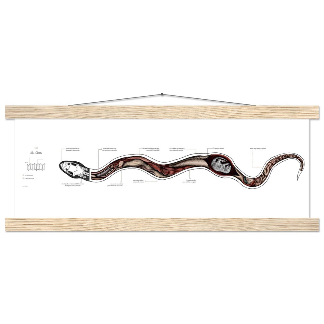 La Cena Snake Hanged | Inspired by Mara Espinosa Artist Book - Etsy