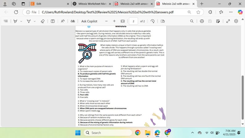 Meiosis Reading Comprehension Quiz, Digital Science Activity, Google ...