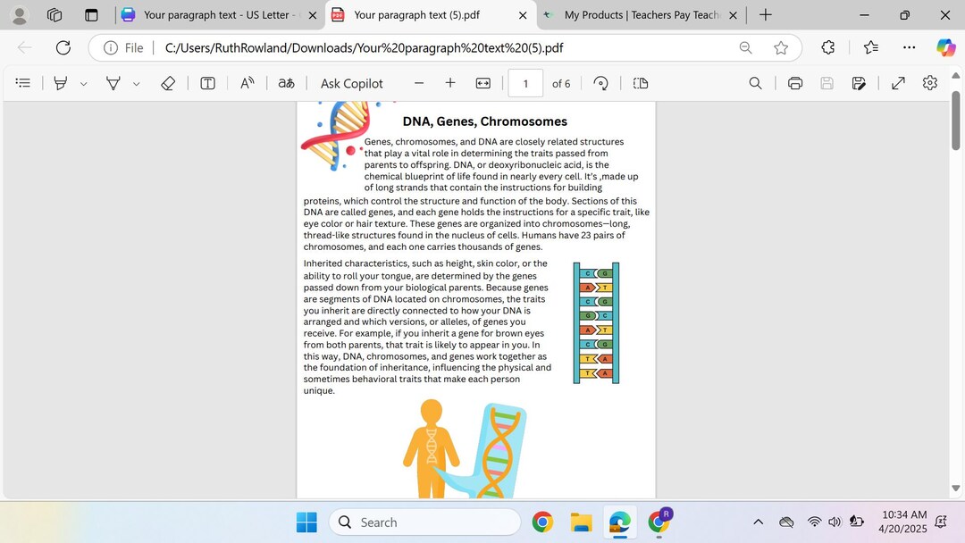 DNA, Genes, and Chromosome Relationship Science Worksheet - Etsy