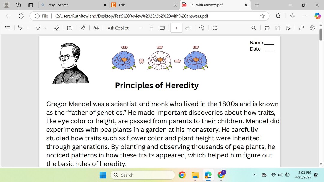 Gregor Mendel Worksheet, Heredity and Genetics Lesson, Middle School ...
