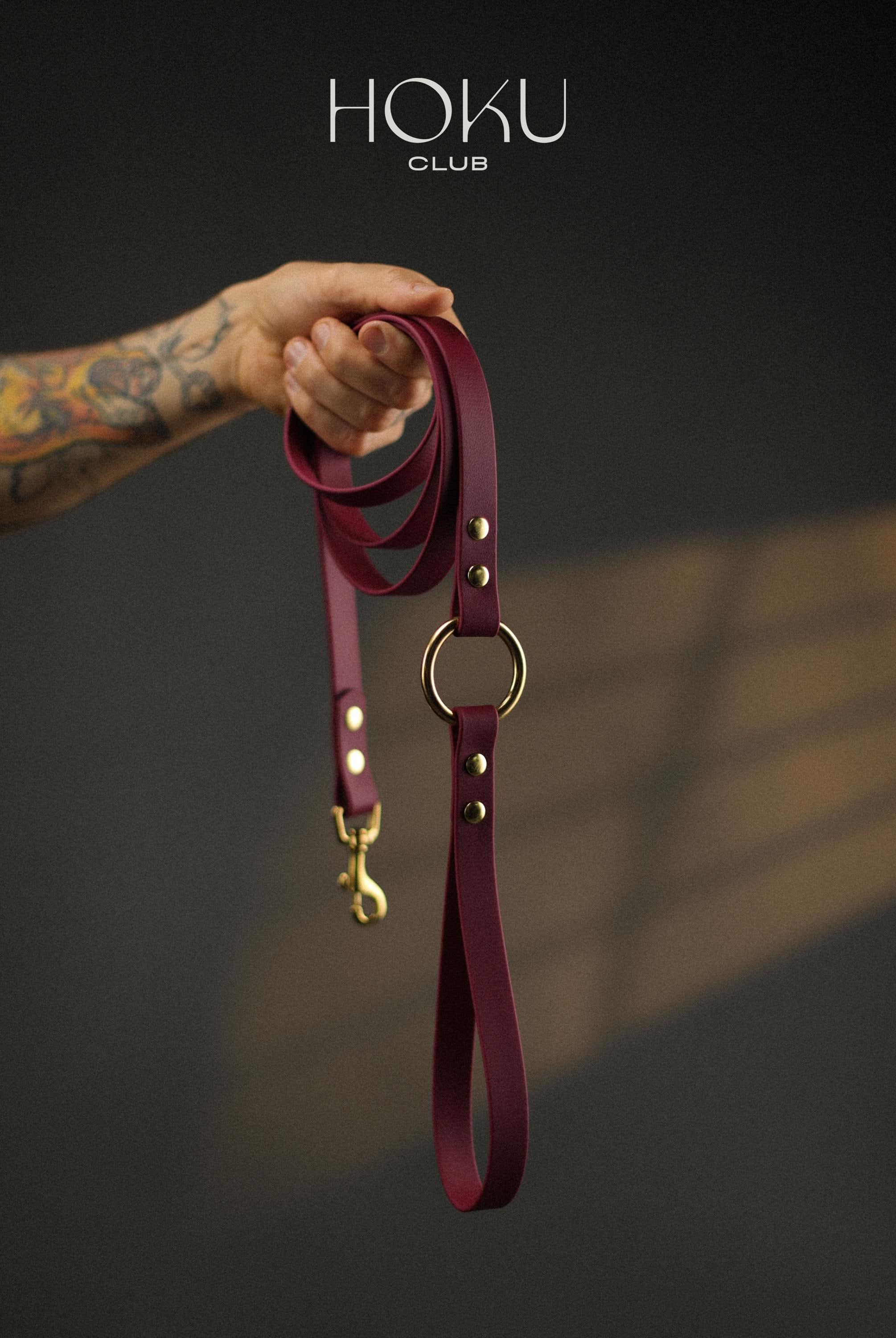 Biothane® Dog Leash | Waterproof Vegan Leather Lead | Solid Brass ...