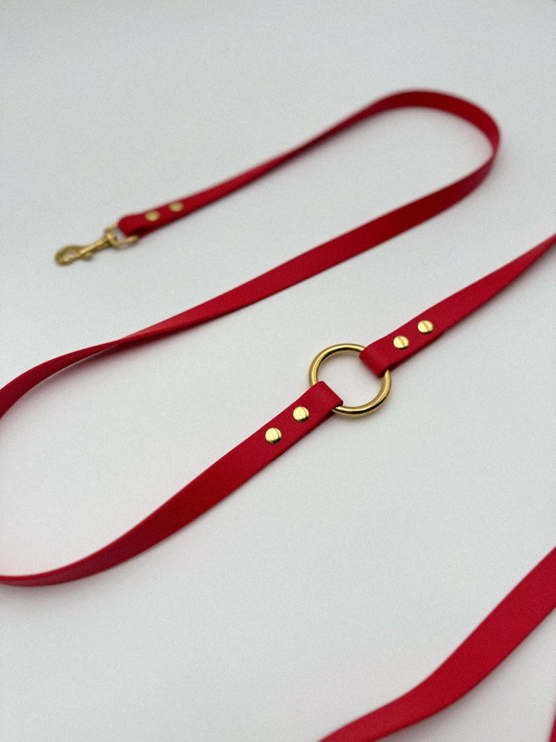Fiery Red Hands-free Dog Leash - Waterproof Biothane With Solid Brass ...