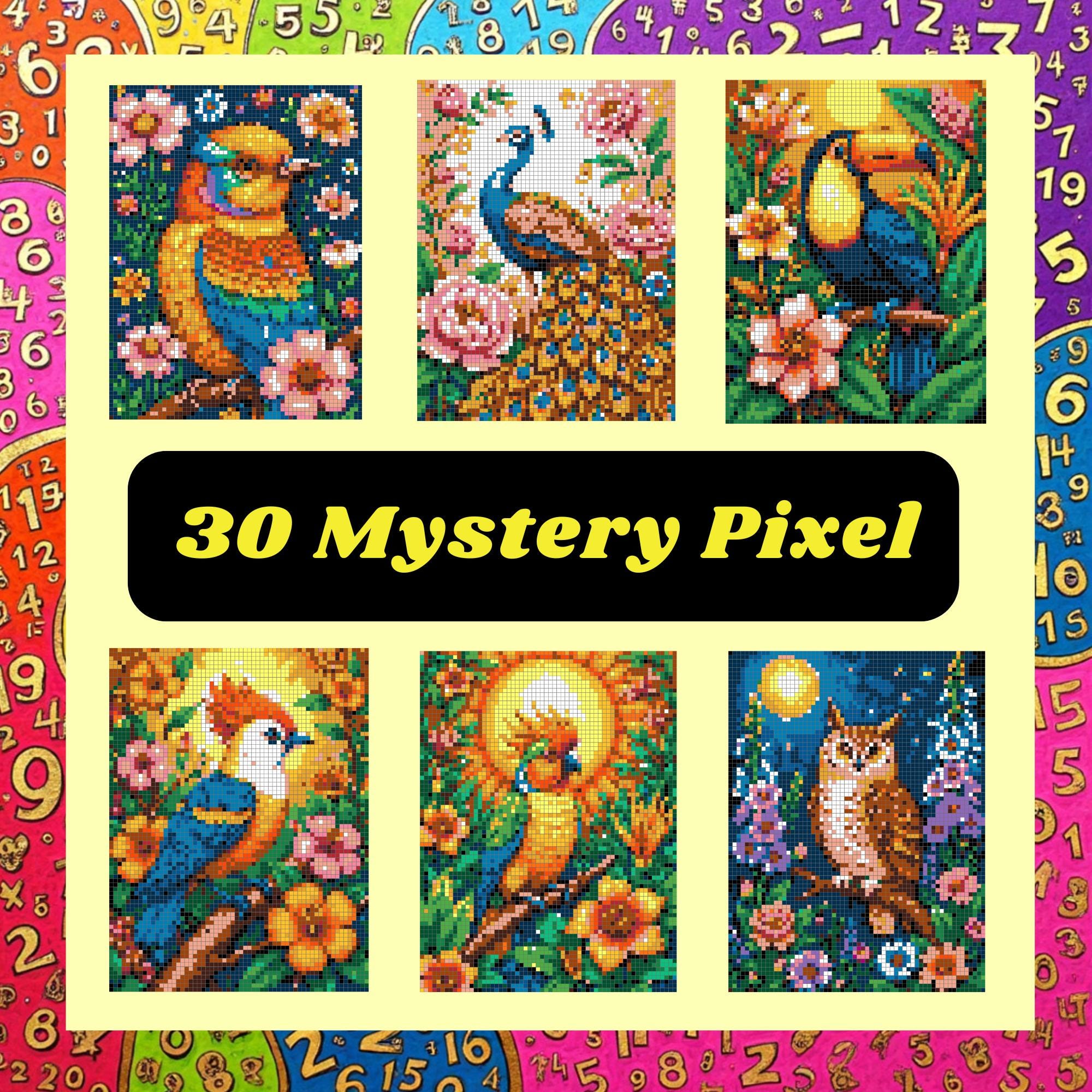 Color by Number, Mystery Pixel, Square Shape, 30 Pages, 24 Colors ...