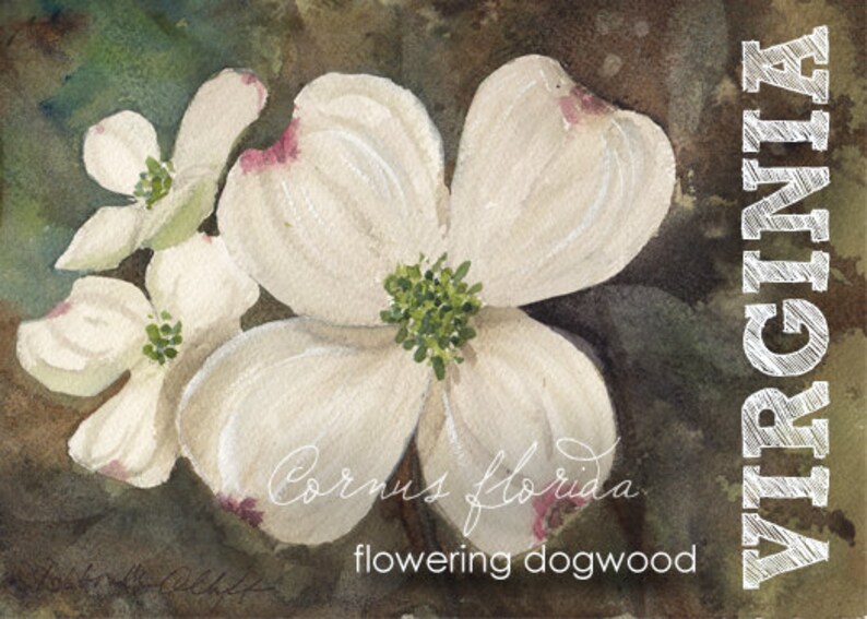 Virginia Watercolor ACEO State Flowers Flowering Dogwood - Etsy