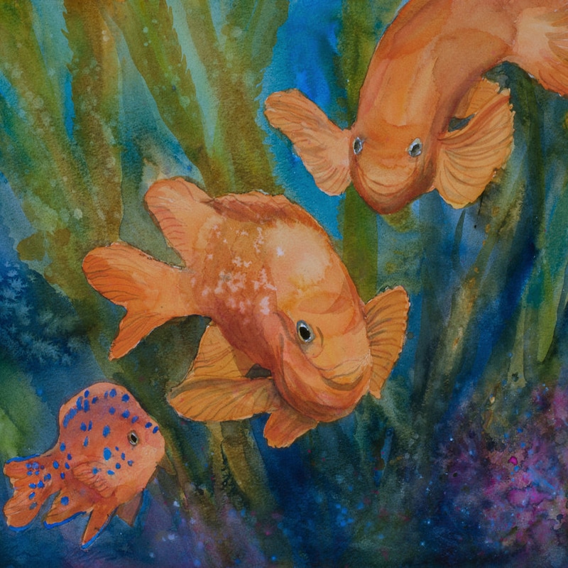 Garibaldi Fish - Etsy