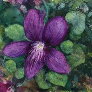 New Jersey Violet, Watercolor Original, State Flower, Purple - Etsy