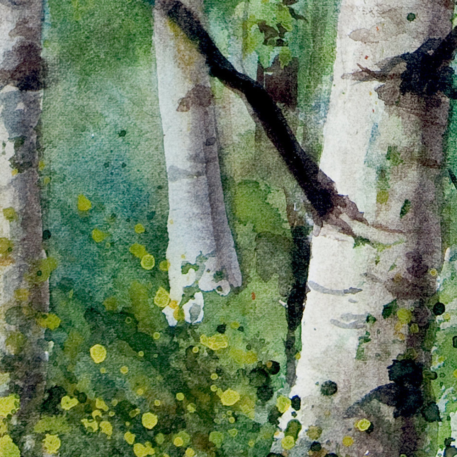 Three Birches, Watercolor Print, Woodland, Birch Trees, Forest, Fall ...