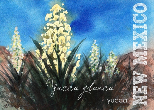New Mexico Watercolor ACEO State Flowers Yucca Yucca - Etsy