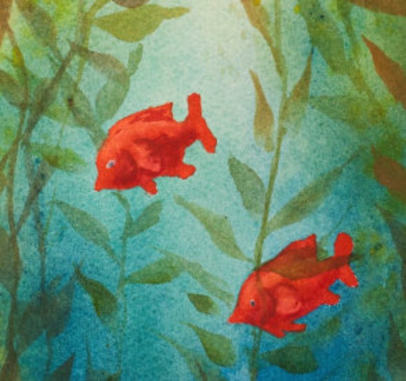 Garibaldi Fish Kelp Forest