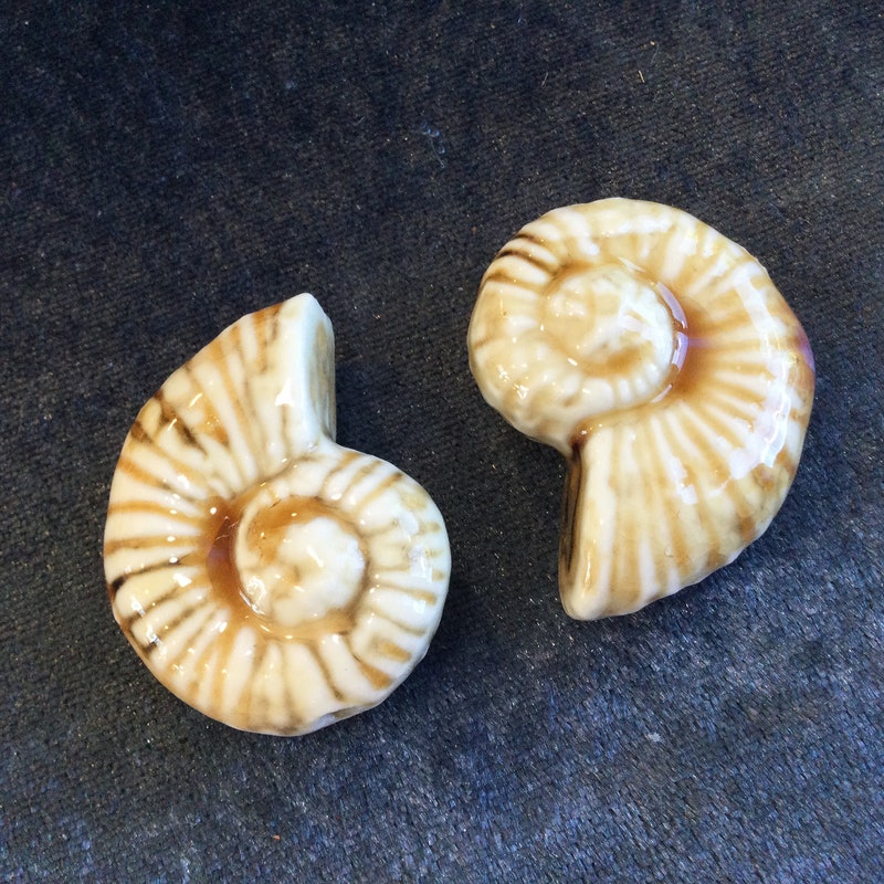 Nautilus Fabric - Etsy