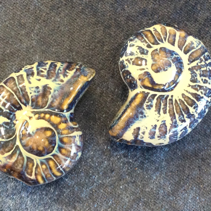 Nautilus Fabric - Etsy