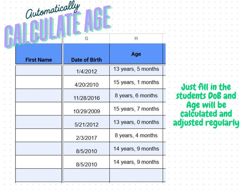 School Psychologist's Ultimate Evaluation Caseload Tracker - Etsy