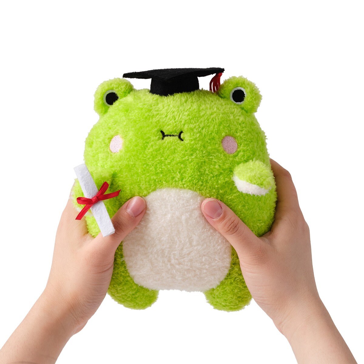 Graduation Frog Plush Toy, Cute Green Frog Plush - Graduation Gift ...