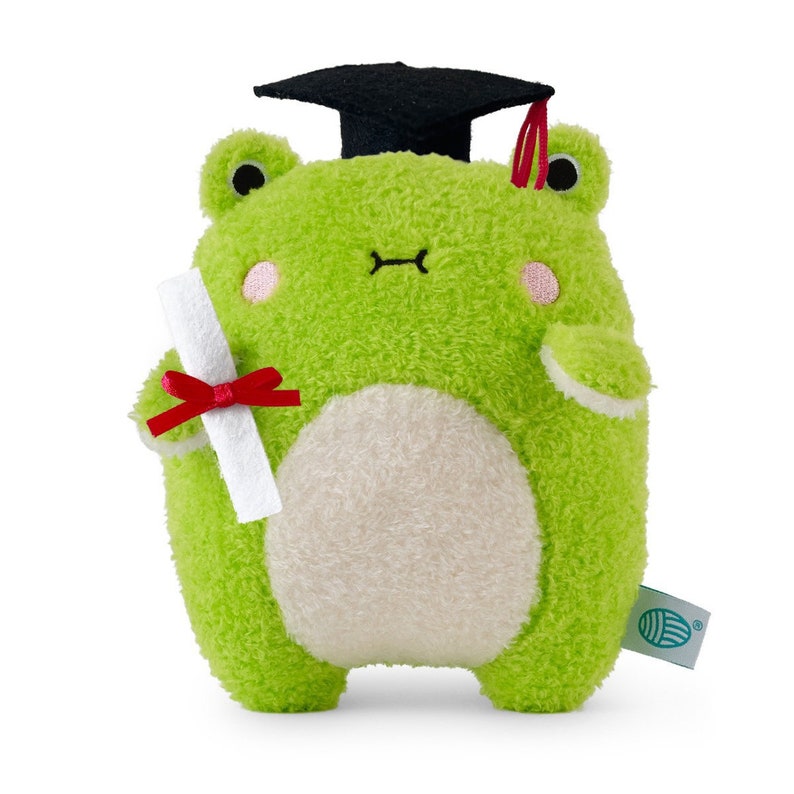 Graduation Frog Plush Toy, Cute Green Frog Plush - Graduation Gift ...