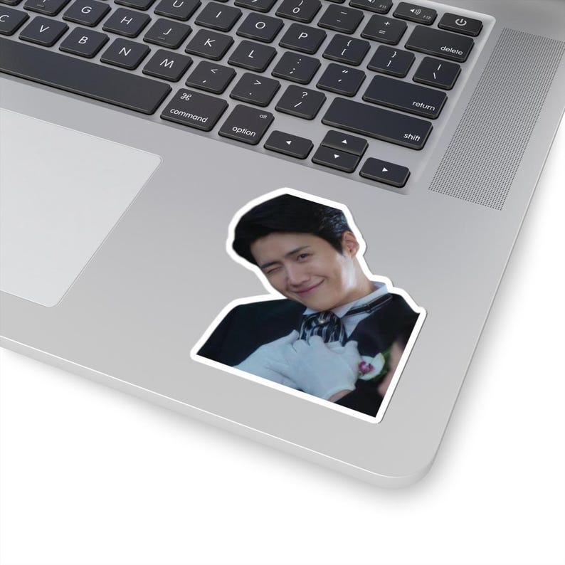 Kim Seon Ho/ When Life Gives You Tangerines Stickers / Kdrama Sticker ...