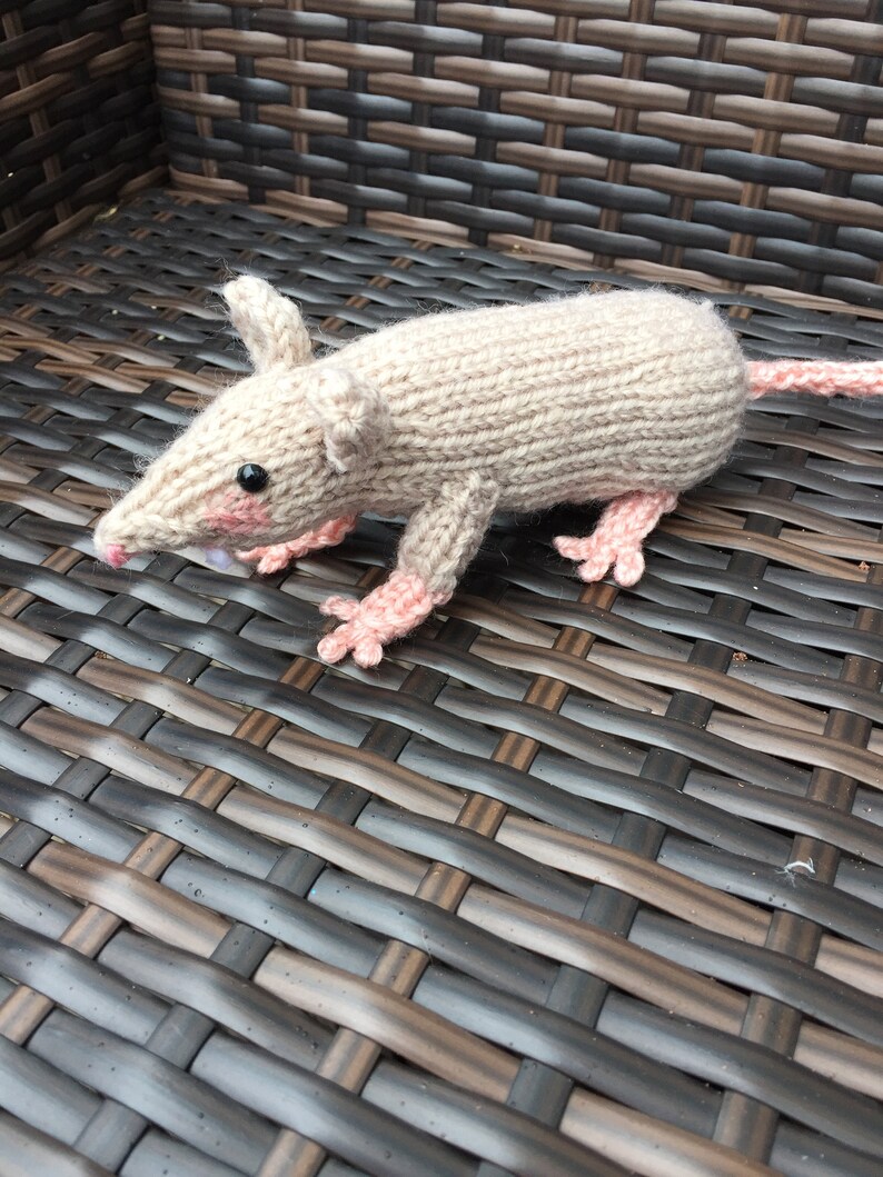 Little Raymond Rat Knitting Pattern - Etsy