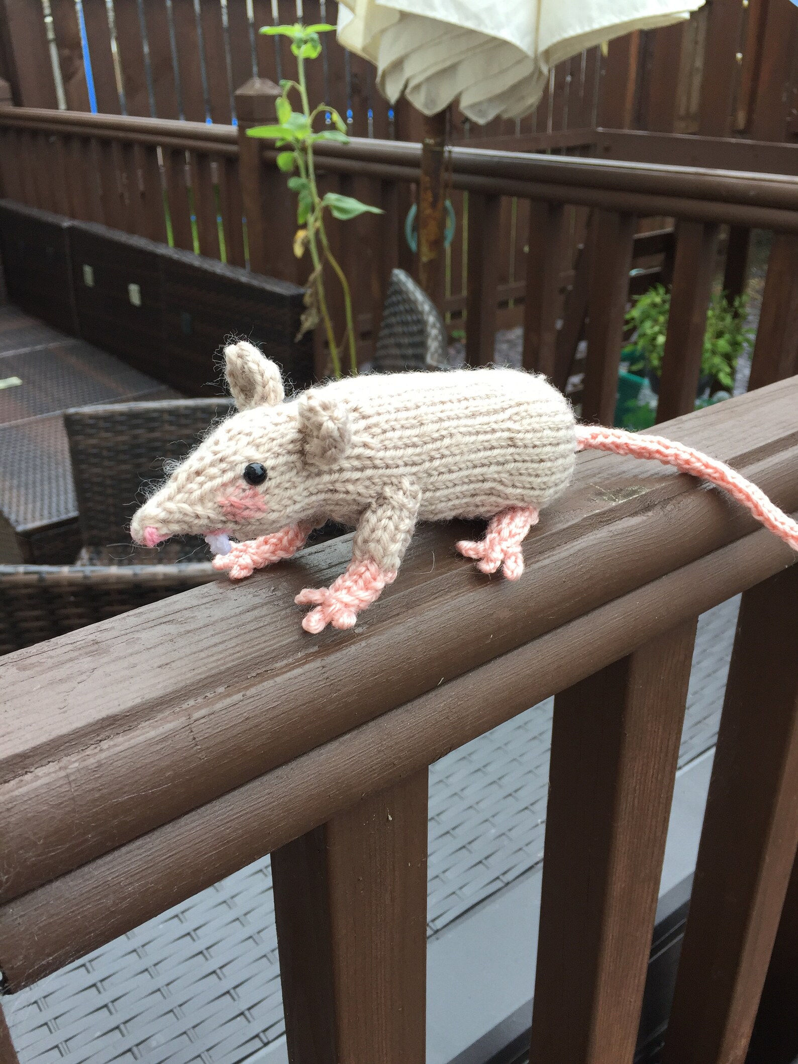 Little Raymond Rat Knitting Pattern - Etsy